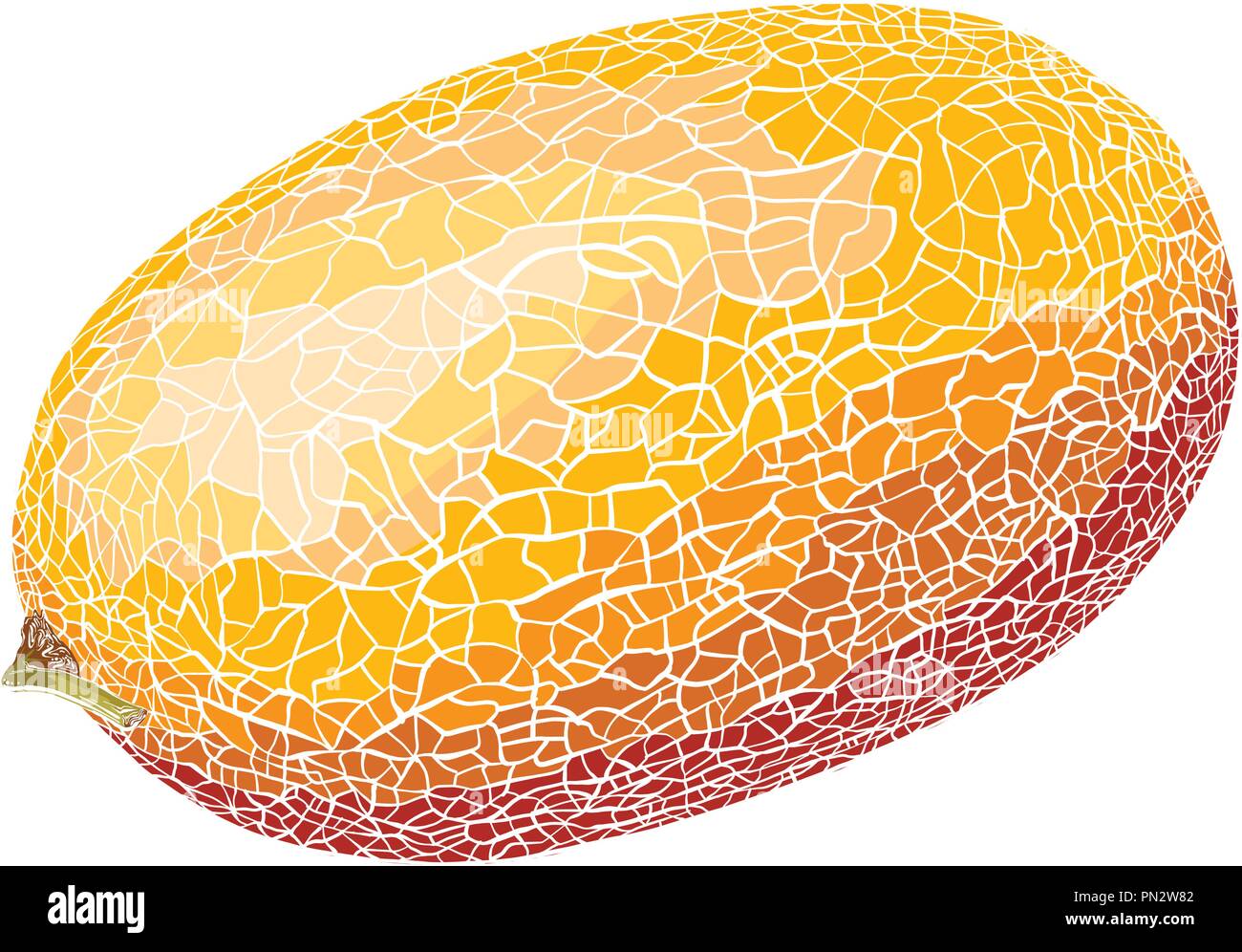 Hand-drawn sketch of melon in color, isolated on white background ...