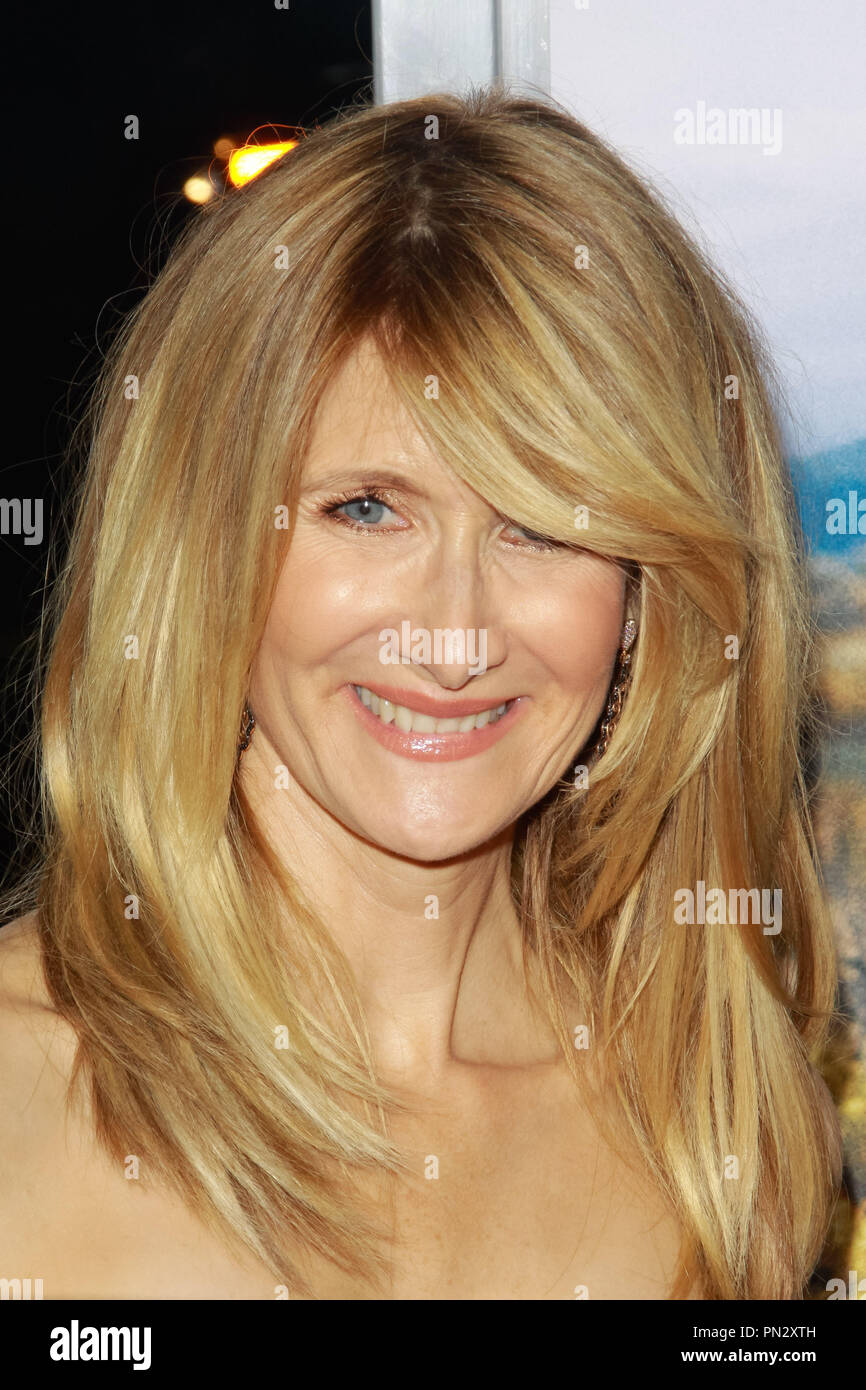 Laura Dern at Fox Searchlight's premiere of "Wild" held at Samuel ...