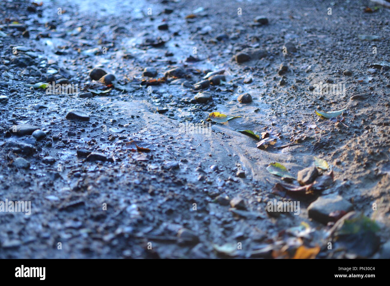 Sandy path at sunset after rain hi-res stock photography and images - Alamy