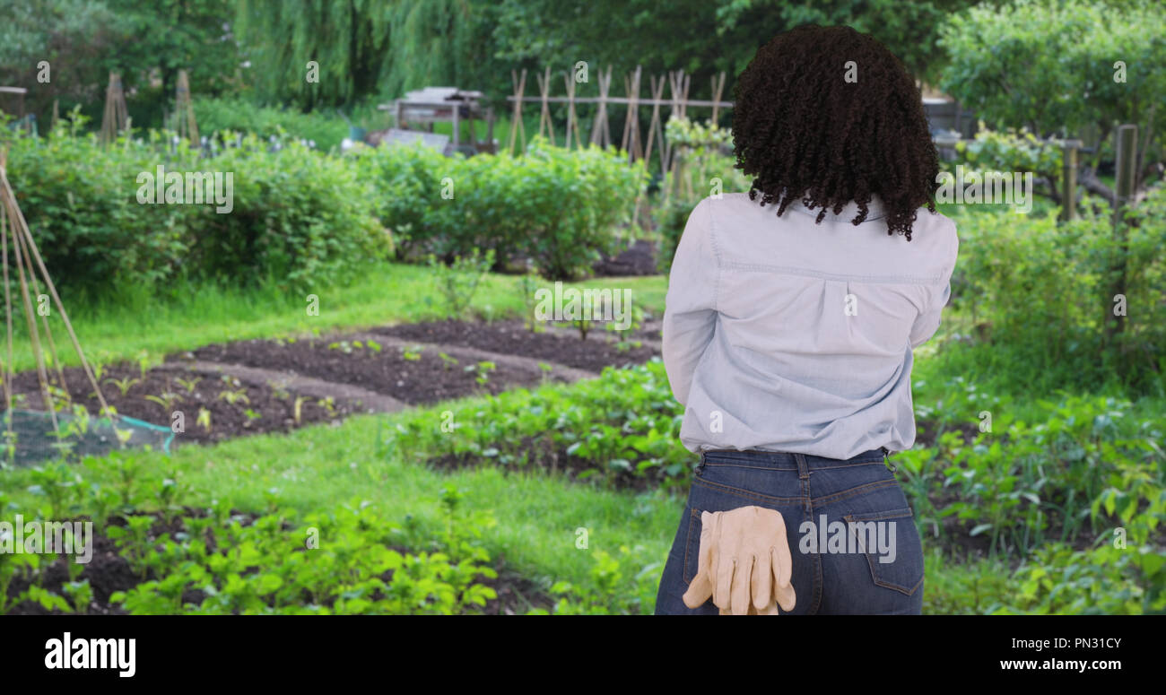 Woman gardener rear view hi-res stock photography and images - Alamy