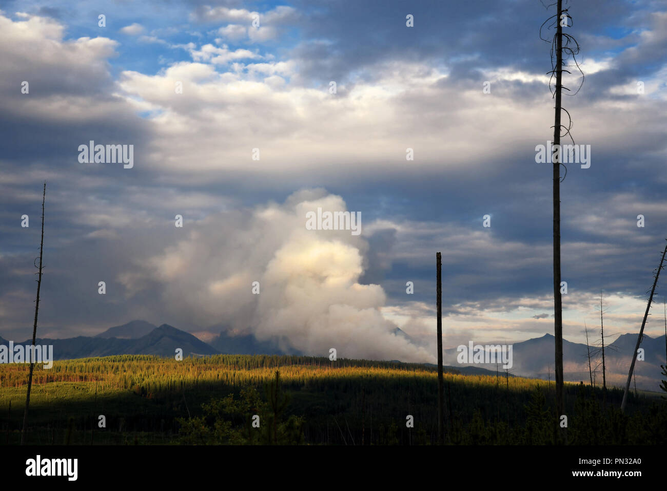 Wildfire in glacier national park hi-res stock photography and images ...