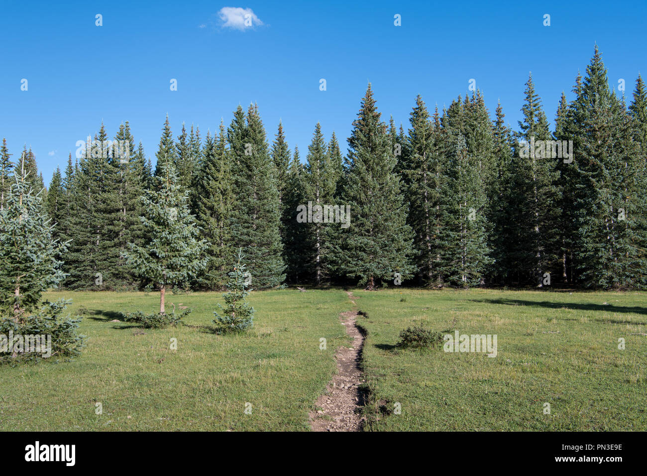 Hiking trail in grassy hi-res stock photography and images - Alamy