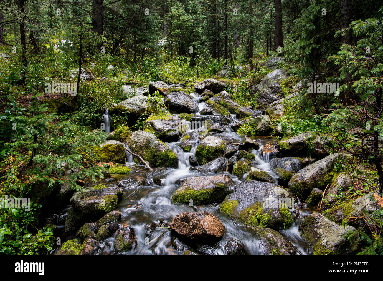 Nambe lake trail hi-res stock photography and images - Alamy