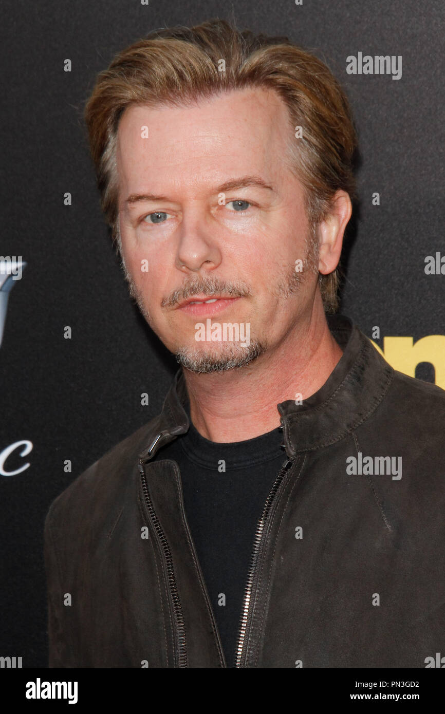 David Spade at the Premiere of Warner Bros. Pictures' "Entourage" held ...