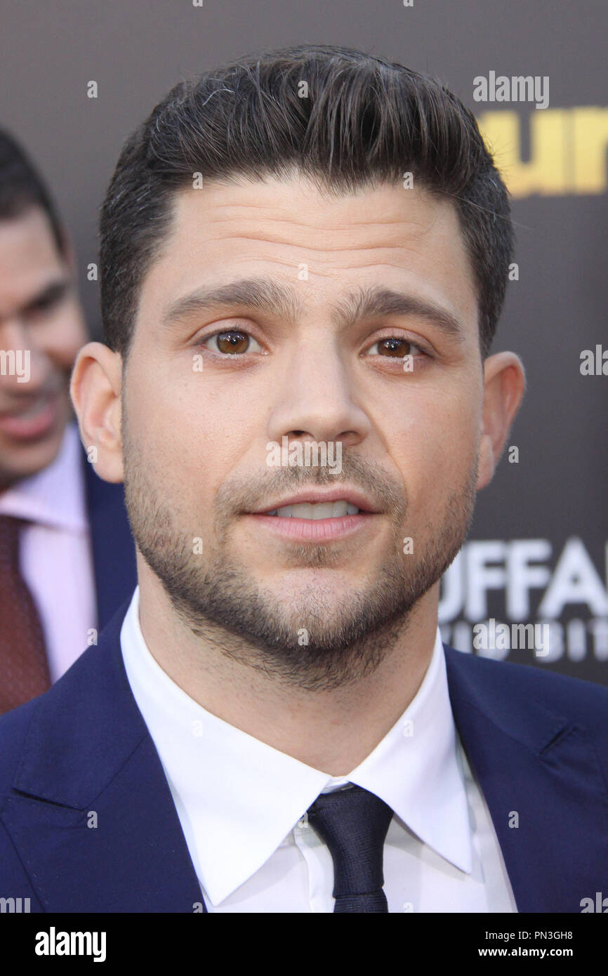 Jerry Ferrara 06/01/2015 "Entourage" Premiere held at the Regency ...