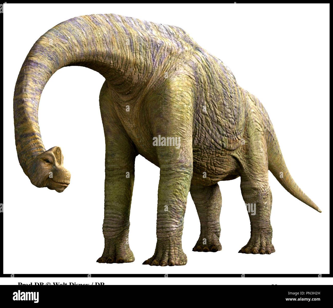 Long Cou Stock Photos & Long Cou Stock Images - Alamy