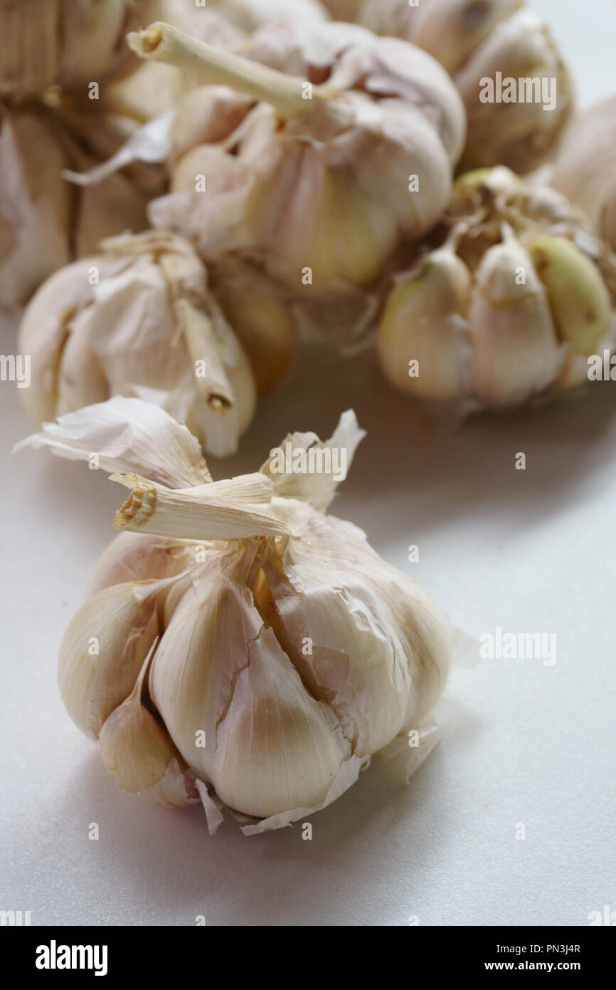 Gray wood floor hi-res stock photography and images - Alamy