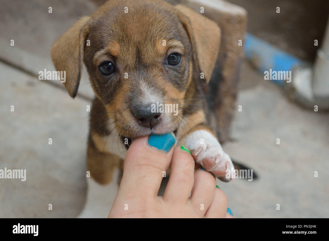 On the toes hi-res stock photography and images - Alamy
