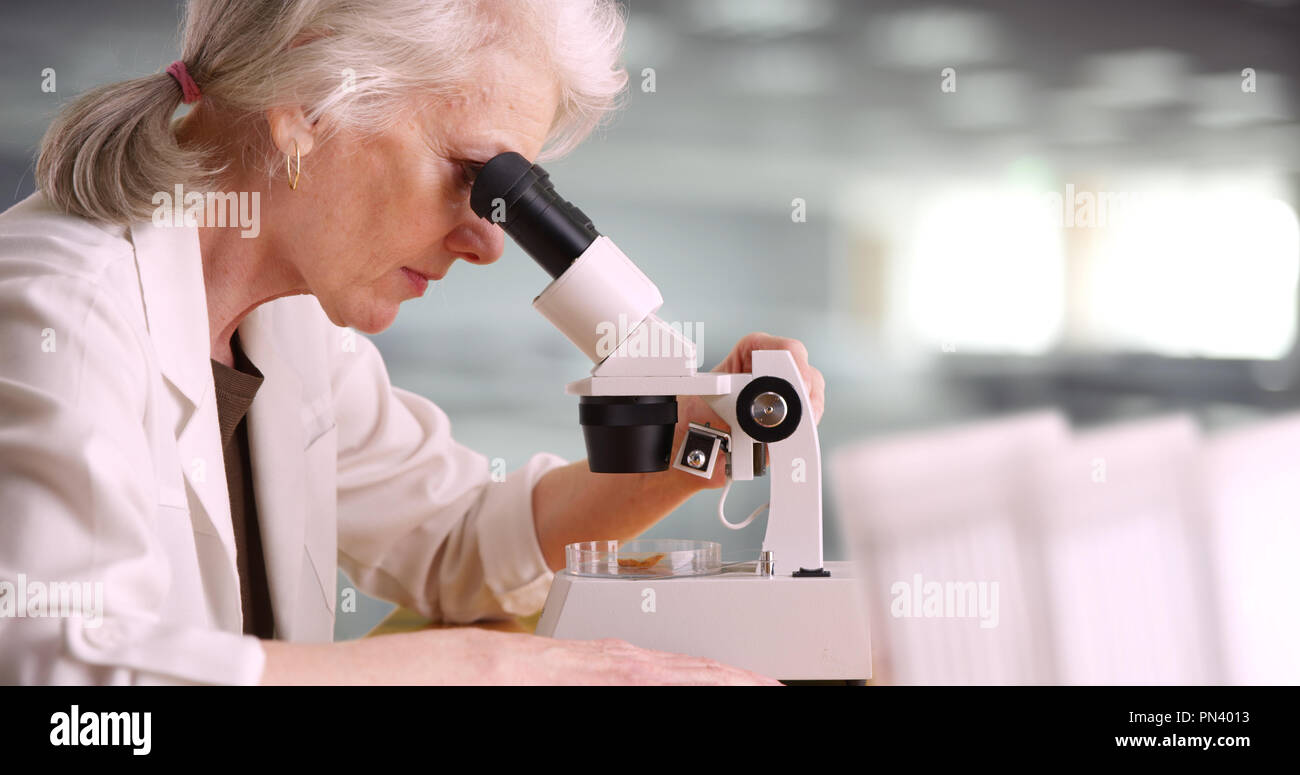 Profile of old female scientist looking through microscope in lab ...