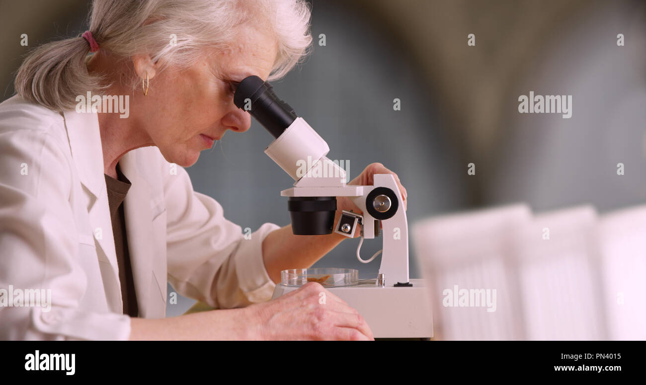 Microscope Forensics High Resolution Stock Photography and Images - Alamy