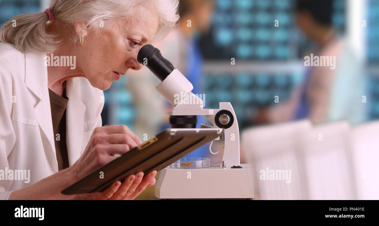 Senior woman medical researcher taking notes on tablet computer in busy ...