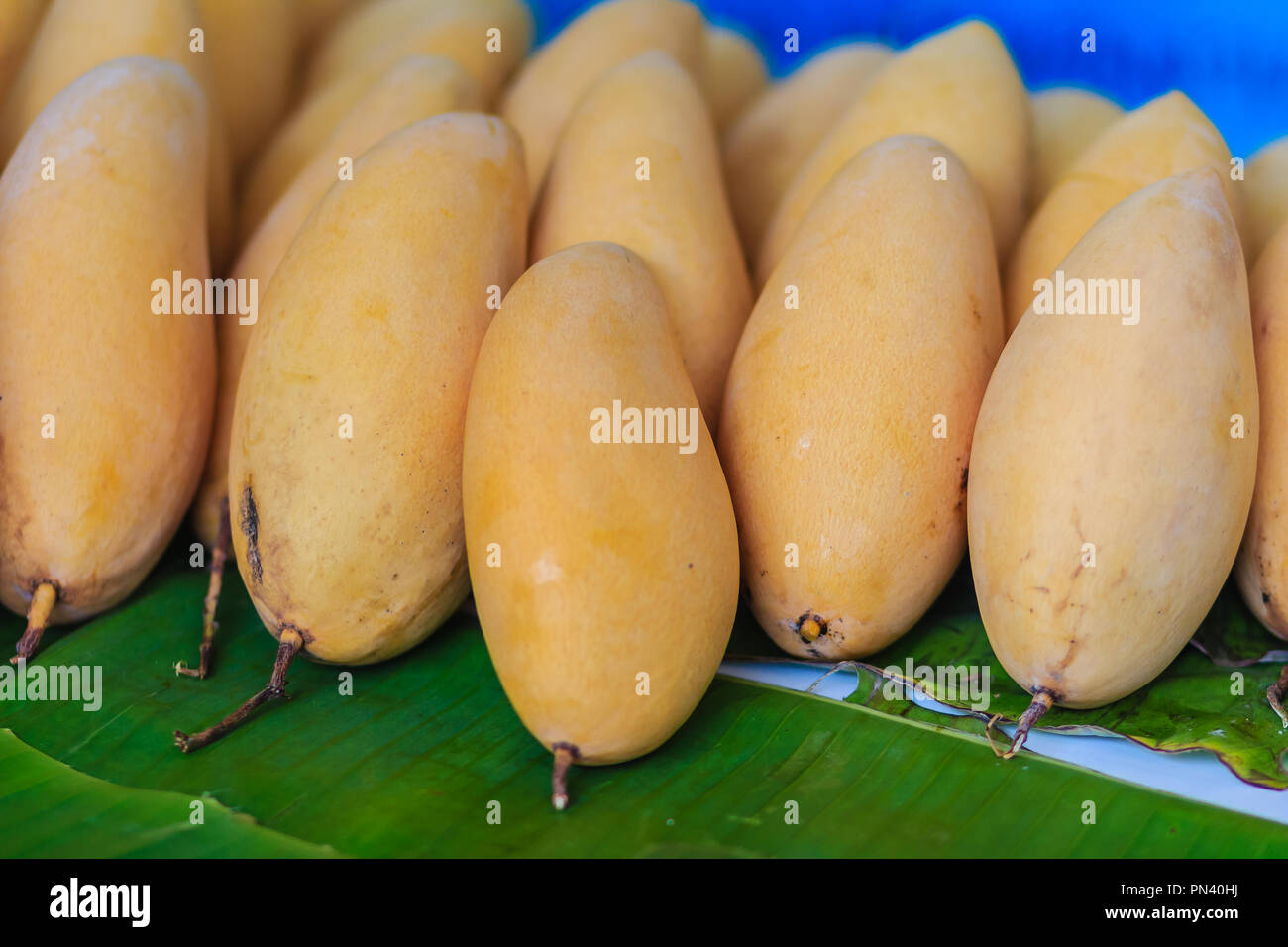 Organic Nam Dok Mai mangoes for sale at the fruit market. The Nam Doc ...