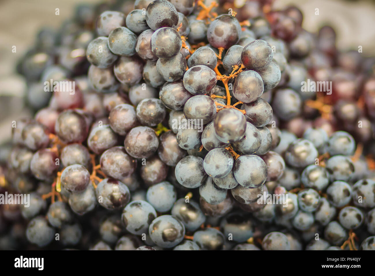 Black organic seedless grapes for sale at the fruit market. Bunch of ...