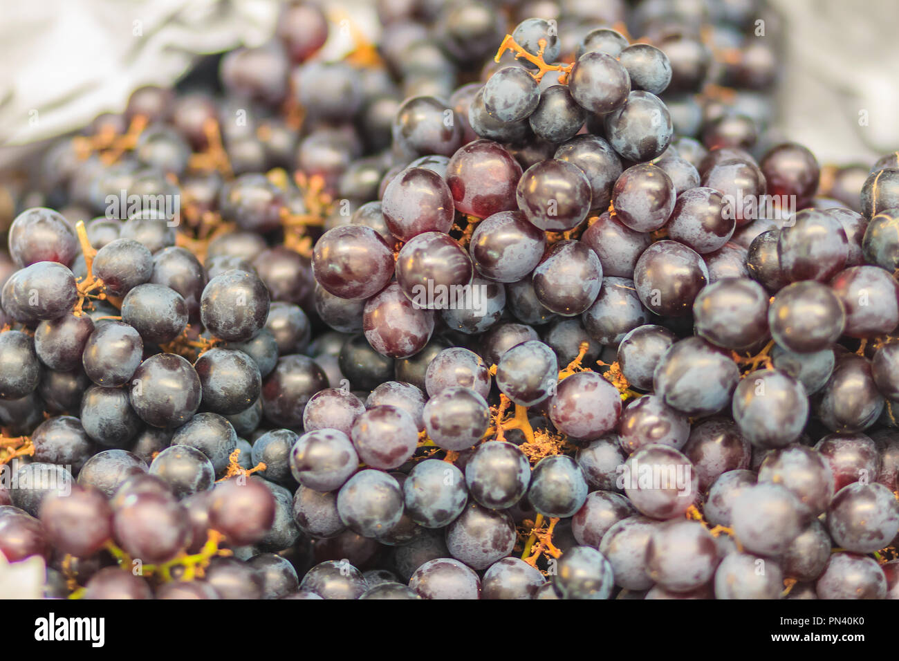 Black organic seedless grapes for sale at the fruit market. Bunch of ...