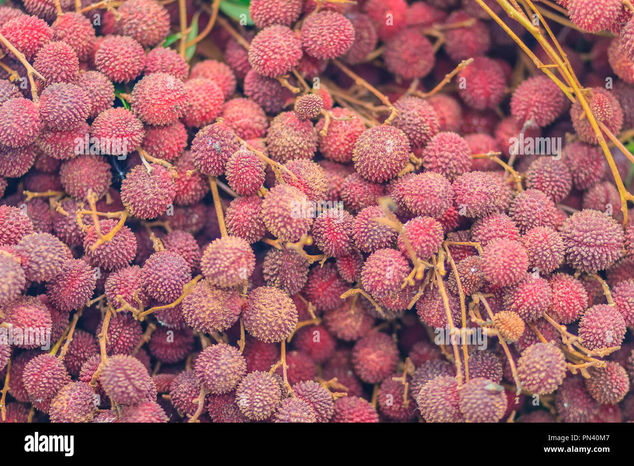 Liechee liche lizhi li zhi litchi hi-res stock photography and images ...