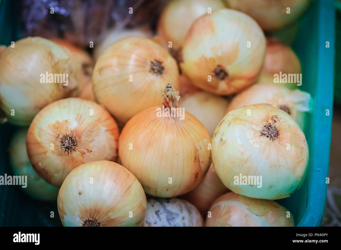 Extra jumbo size of bulb onion or common onion for sale at the fresh ...