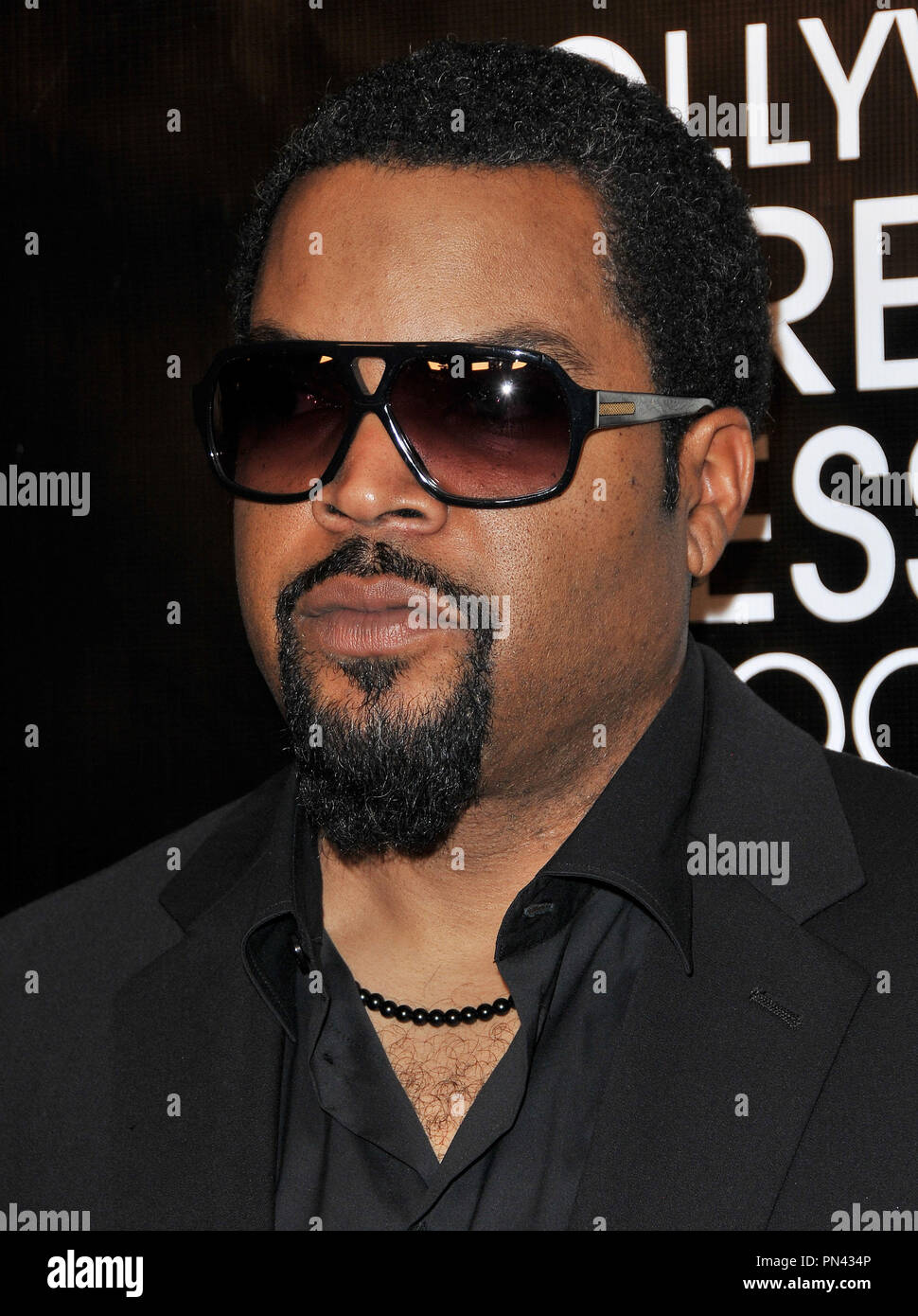 Ice Cube at the Hollywood Foreign Press Association Hosts Annual Grants ...