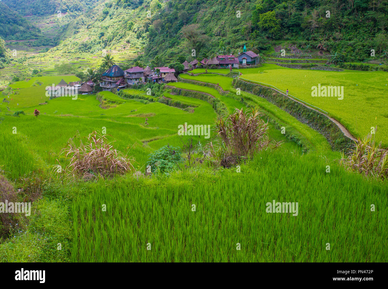 View of rice terraces fields in Banaue, Philippines Stock Photo - Alamy