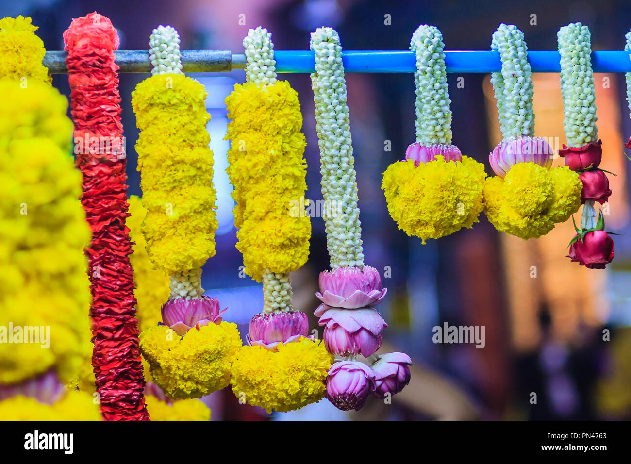 Colorful marigold flower garlands for hindu religious ceremony. Garland ...