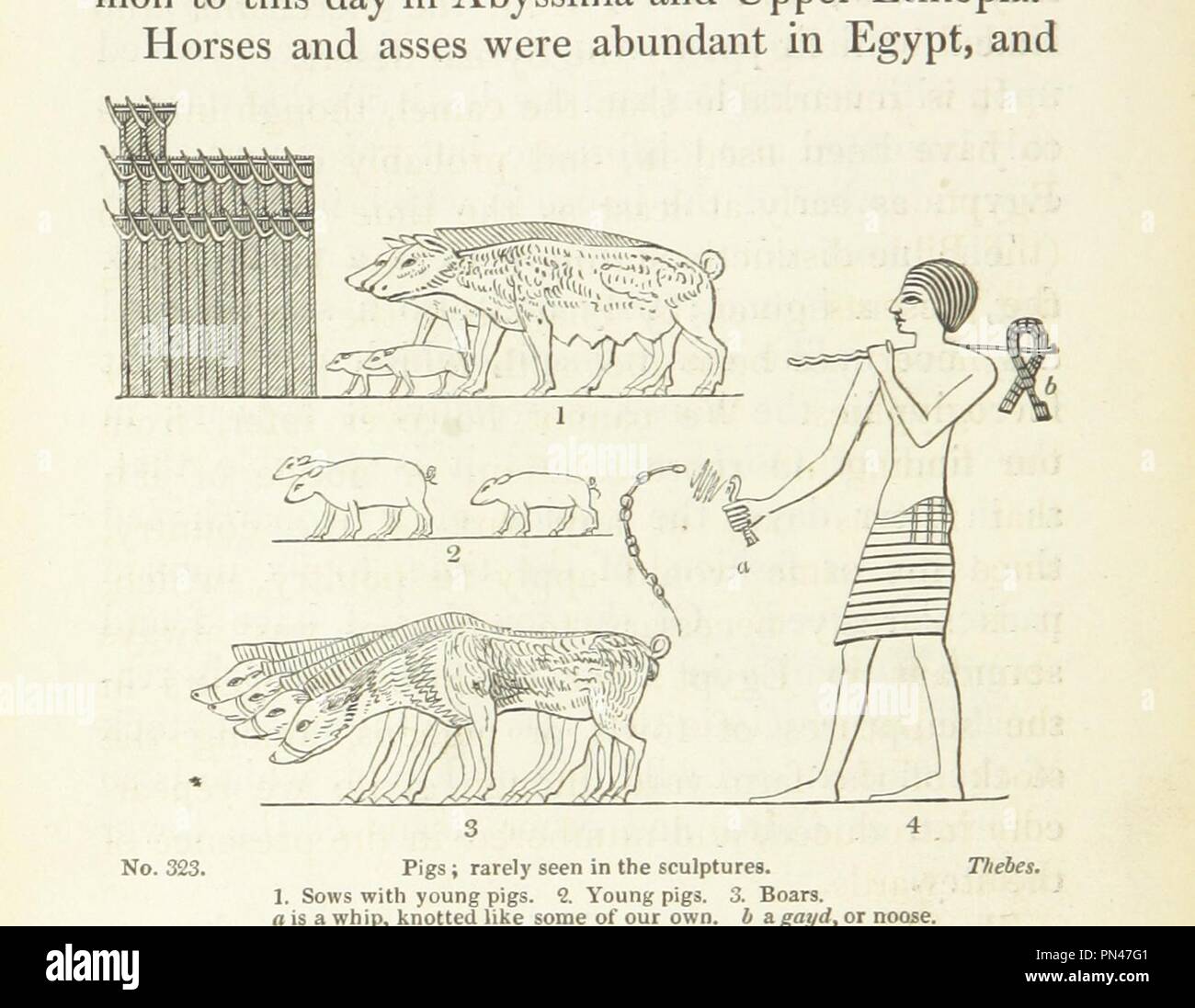 Image from page 68 of '[Manners and Customs of the ancient Egyptians ...