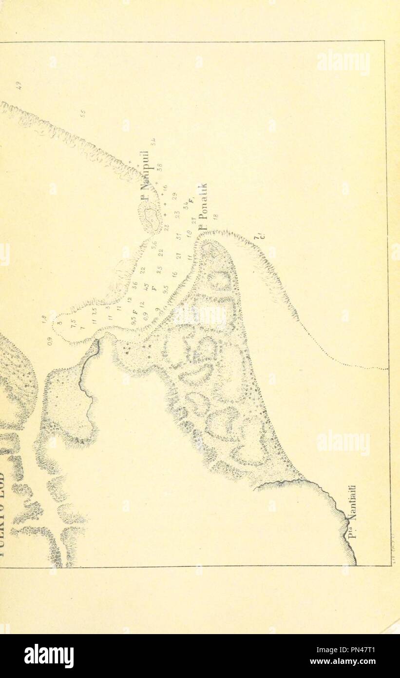 Image from page 71 of 'Estudios sobre Carolinas. La isla de Ponapé ...