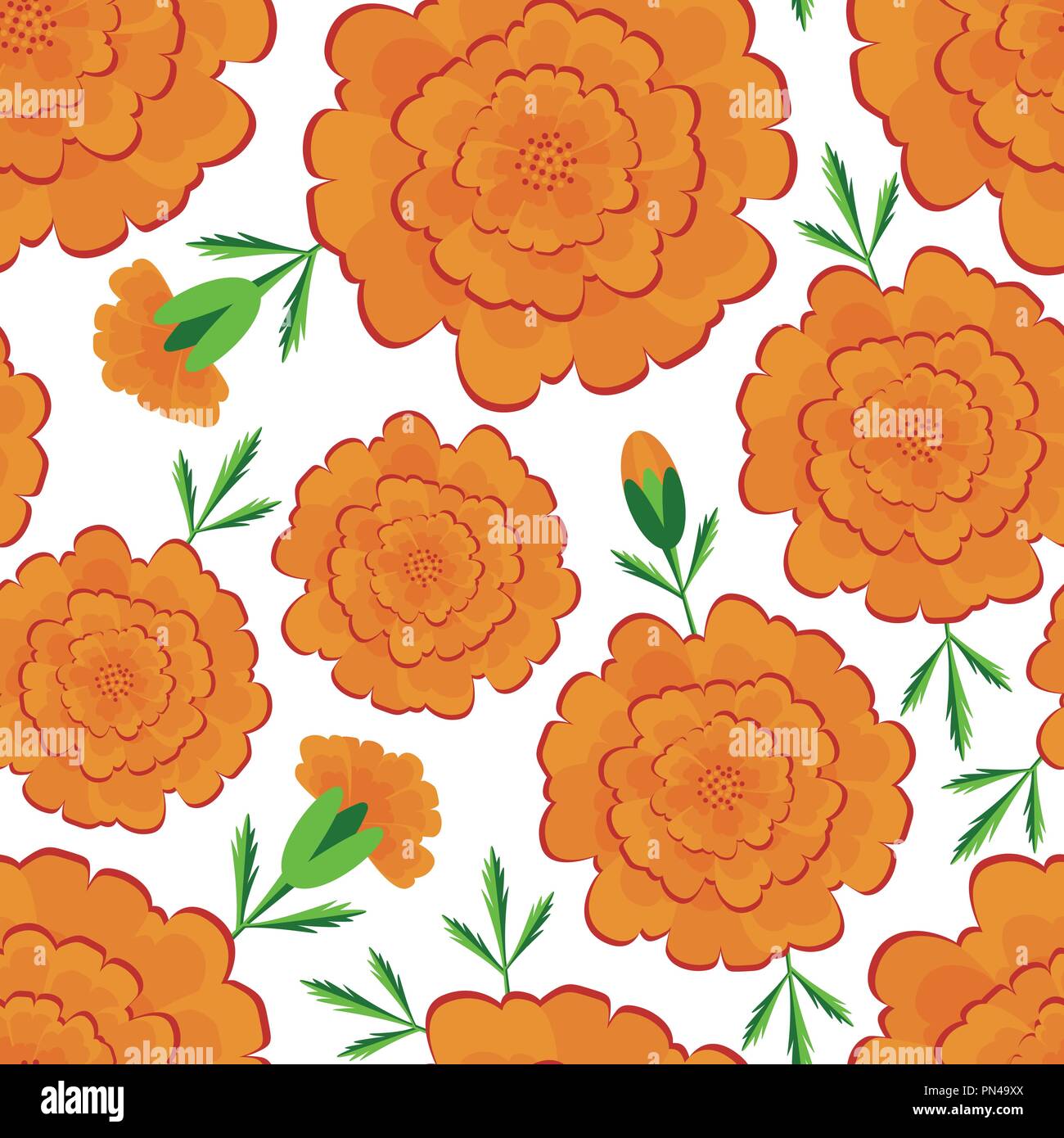Mexican Marigold Flower Drawing