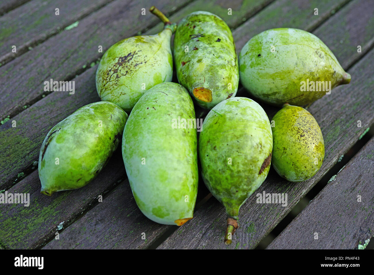Ripe Paw Paw Stock Photos & Ripe Paw Paw Stock Images - Alamy