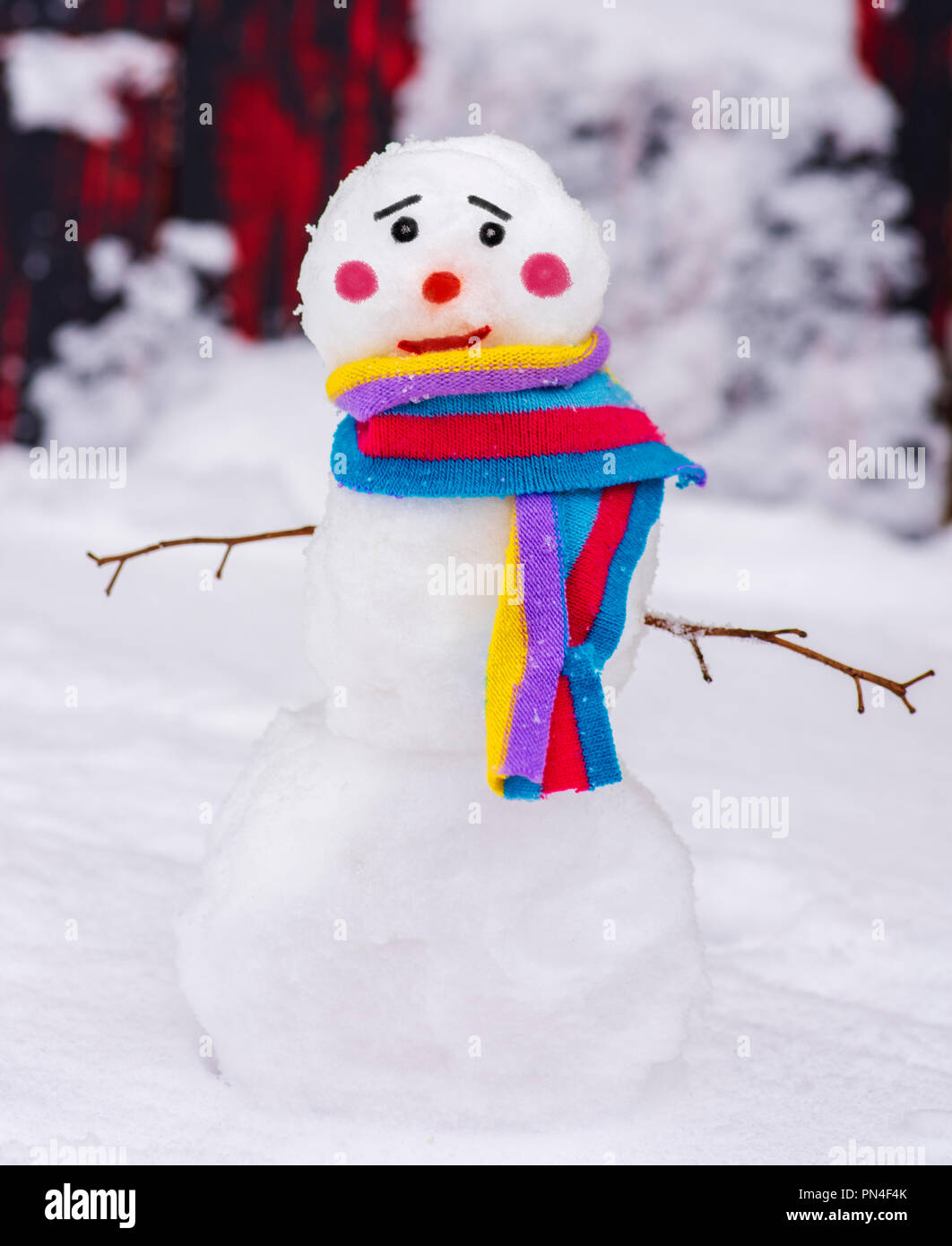 funny snowman with a colorful scarf and a sad face, close up Stock ...