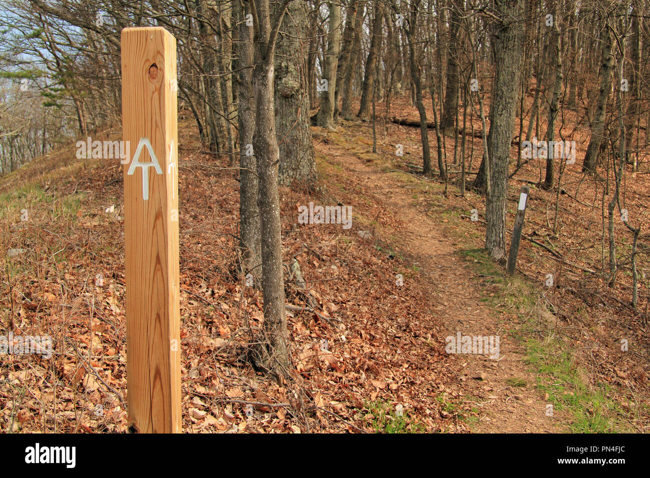 Accessible hiking trails hi-res stock photography and images - Alamy