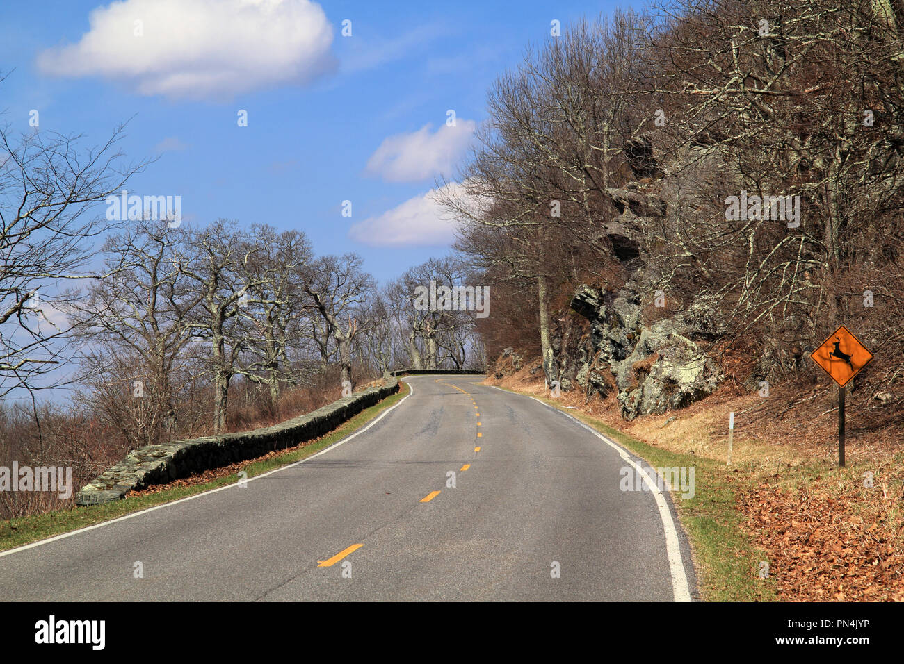 Scenic Skyline Drive, viewed here, is one of the most prominent auto ...