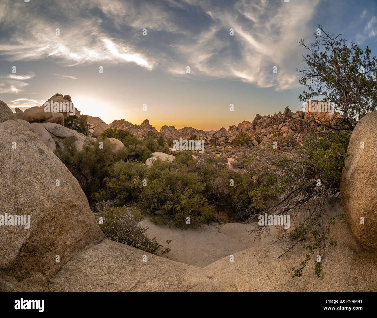 Desertscape hi-res stock photography and images - Alamy