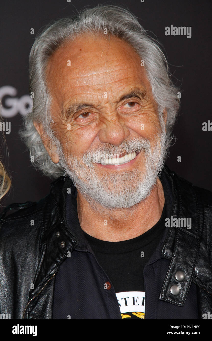 Tommy Chong at the Premiere of Walt Disney Animation Studios' "Zootopia ...