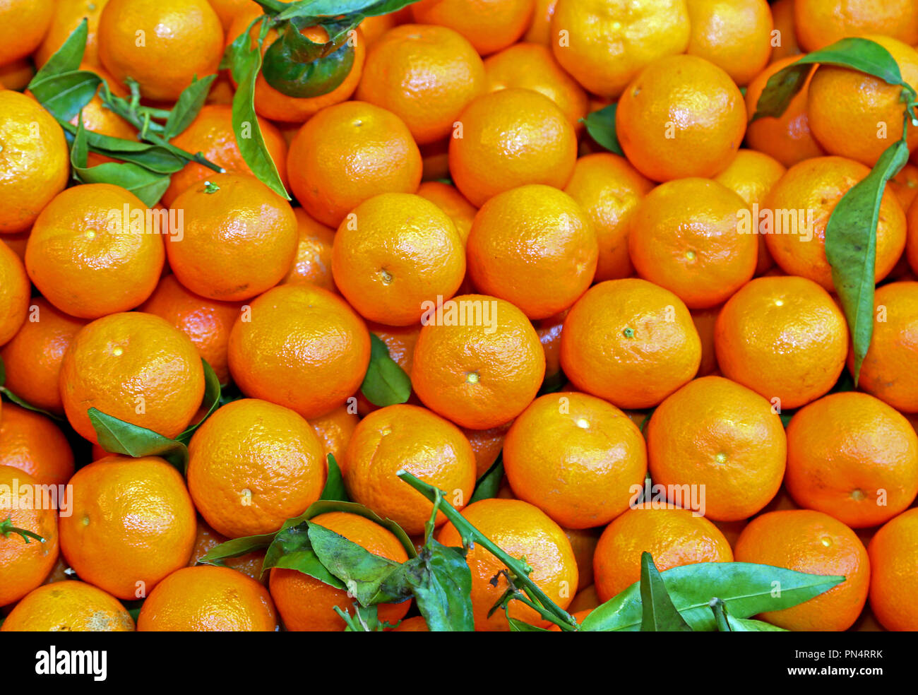background of small orange mandarins from Sicily for sale in a fruit ...