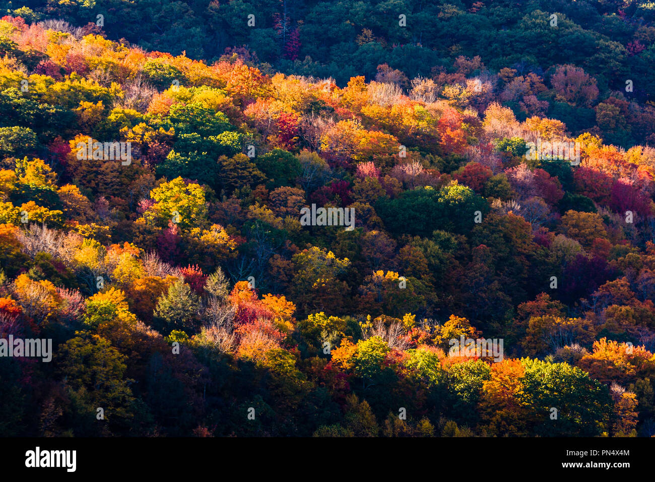 Hogback dam hi-res stock photography and images - Alamy