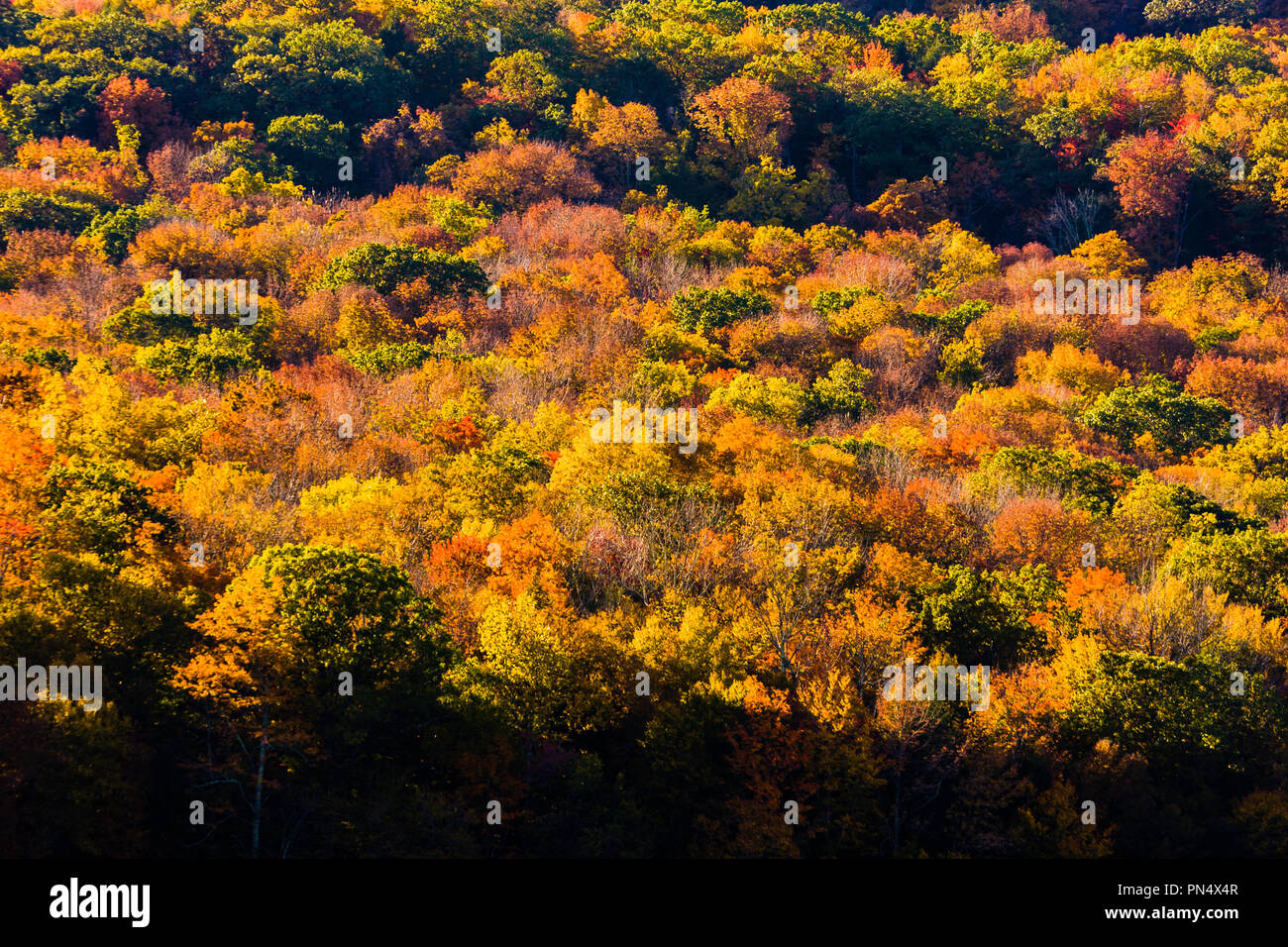 Hogback Dam Hartland, Connecticut, USA Stock Photo - Alamy