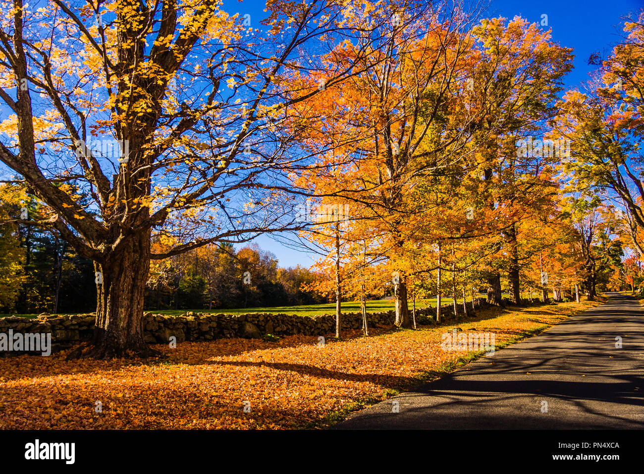 Stone Wall Colebrook, Connecticut, USA Stock Photo - Alamy
