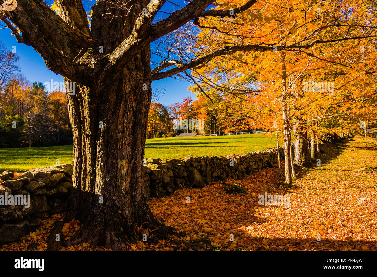Stone Wall Colebrook, Connecticut, USA Stock Photo - Alamy