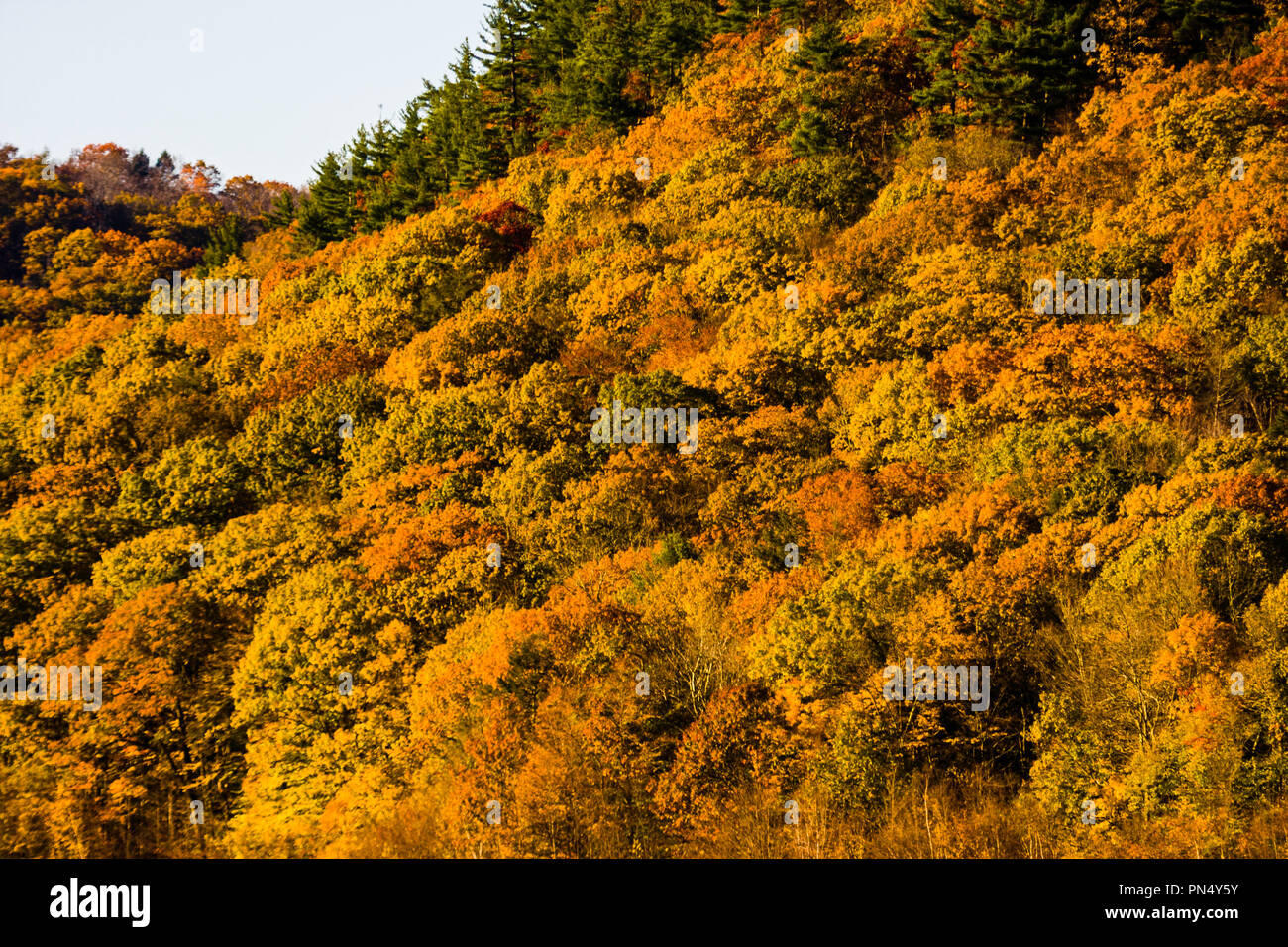 Hogback dam hi-res stock photography and images - Alamy