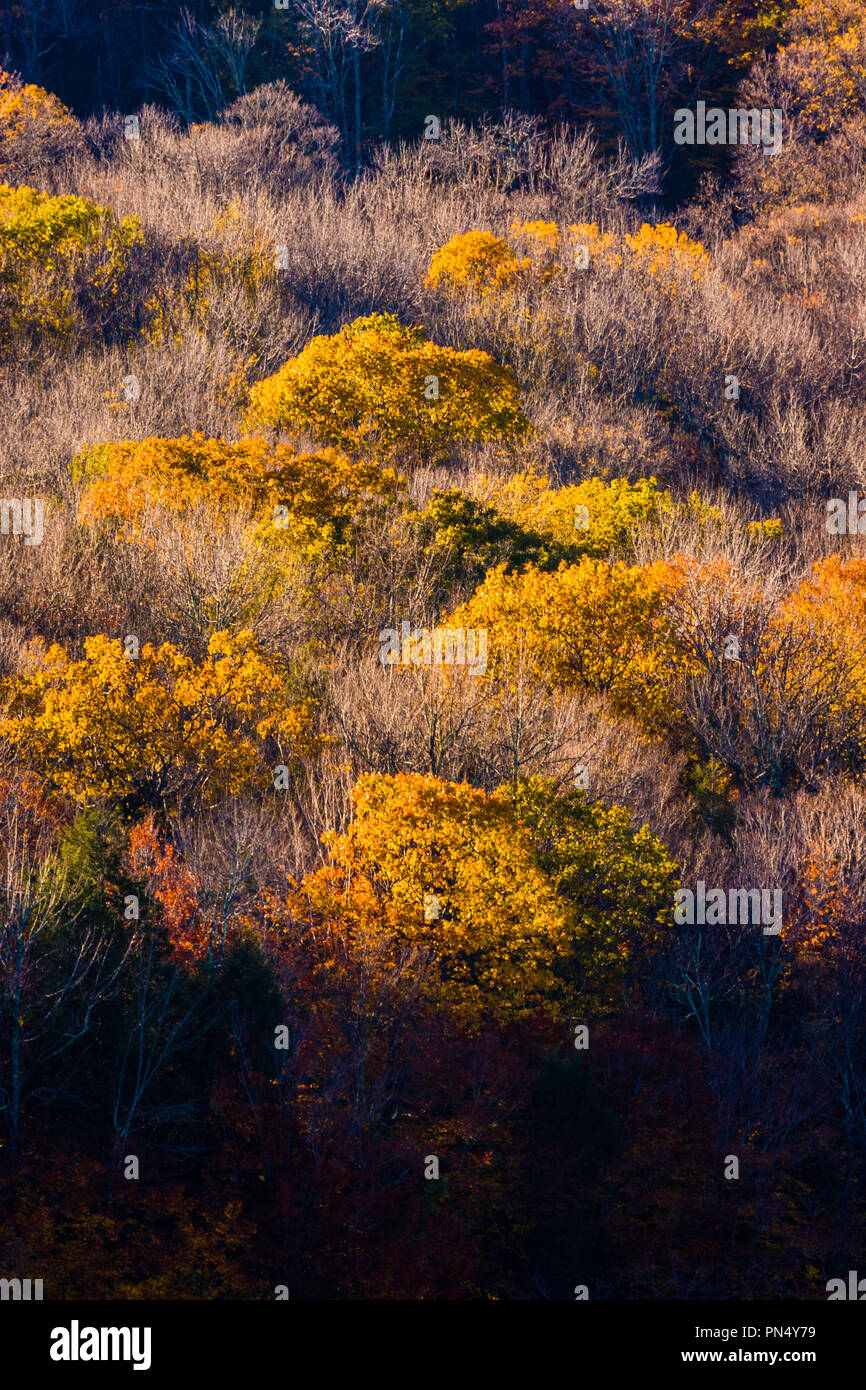 Hogback Dam Hartland, Connecticut, USA Stock Photo - Alamy