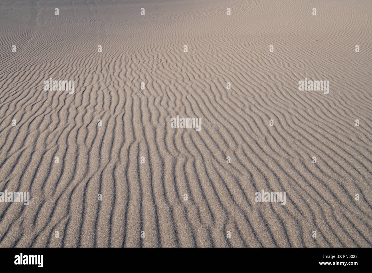 Natural wind-blown wave pattern in grainy sand at Great Sand Dunes ...