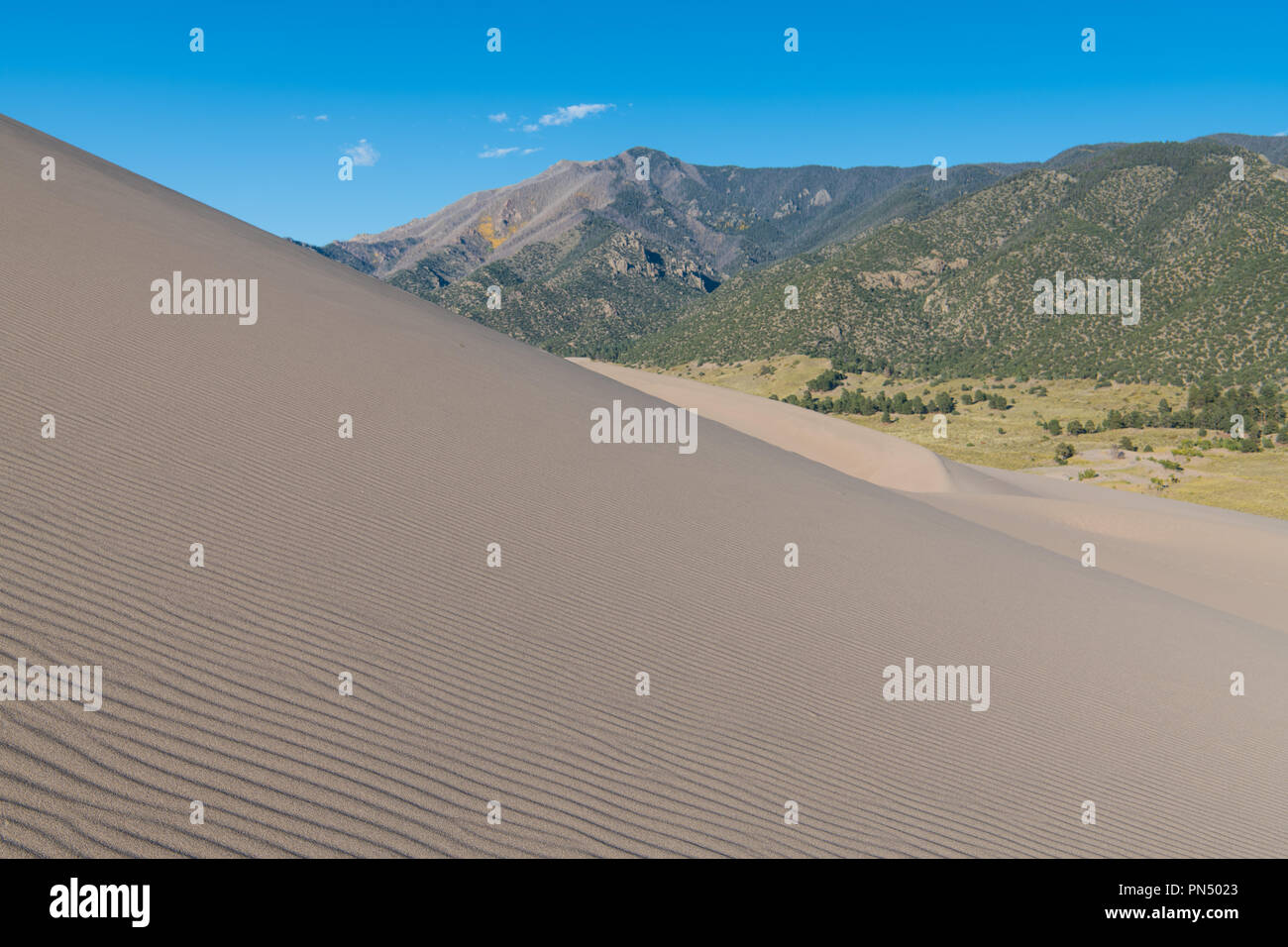 Huge sand dune with wind-swept waves of sand and Rocky Mountains in ...