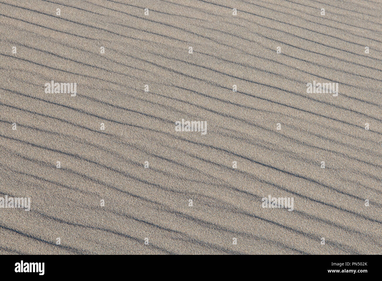 Natural wind-blown wave pattern in grainy sand at Great Sand Dunes ...