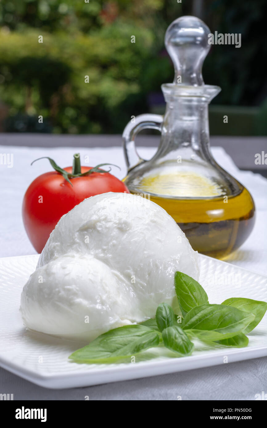 Fresh soft Italian white cheese mozzarella buffalo, original from ...