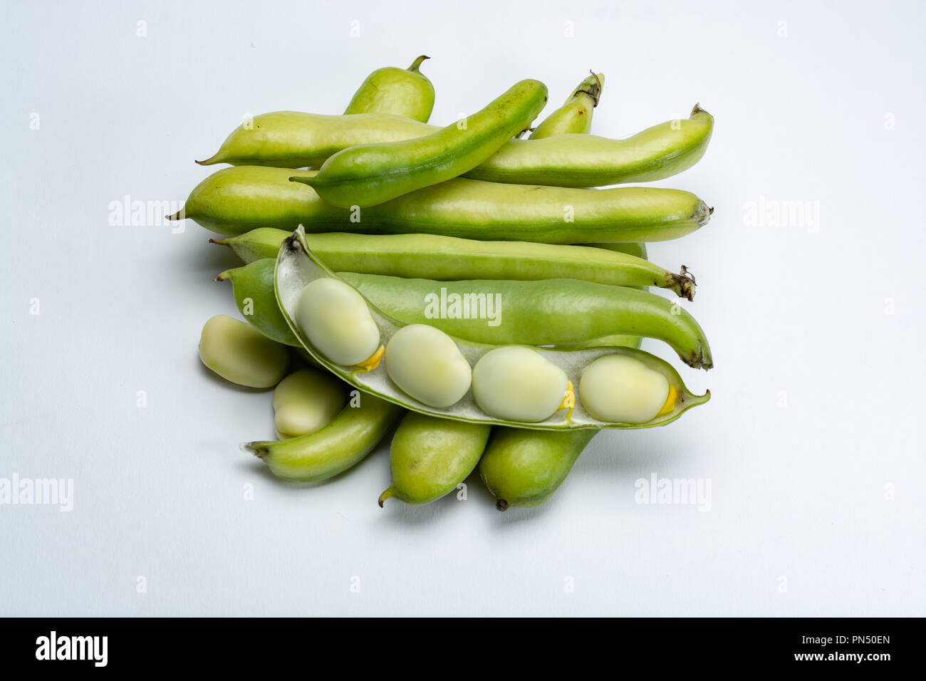 New harvest of healthy vegetables, green fresh raw big broad beans ...