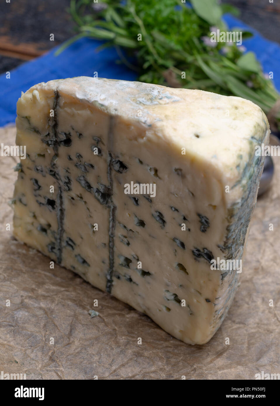 Blue cheese made from cow milk with Penicillinum mold, tasty soft ...