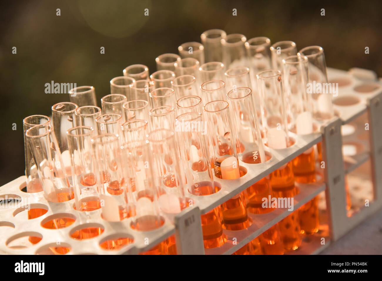 Scientist adding solution test tube hi-res stock photography and images ...
