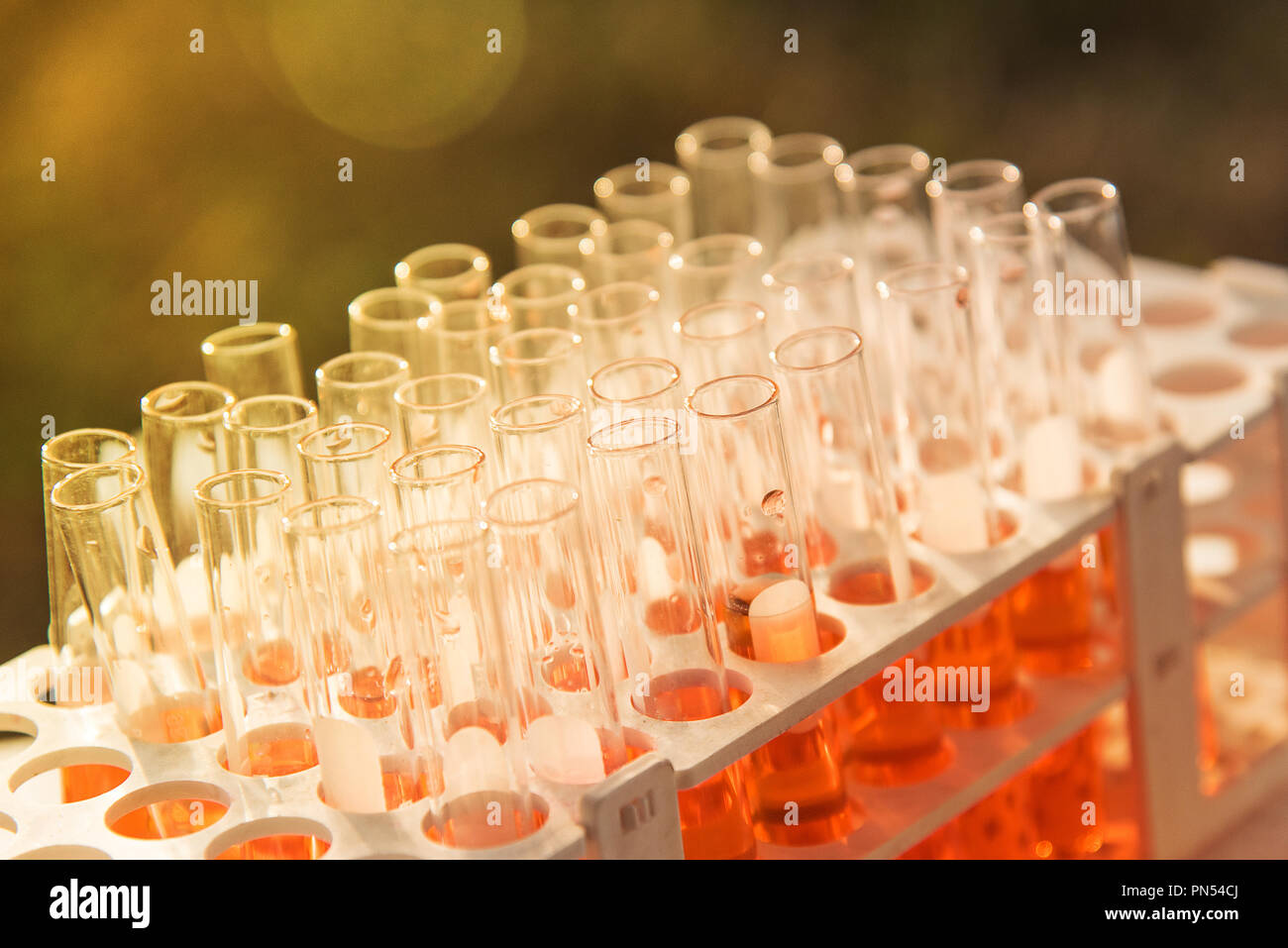 Lab science research glass items adding drop to one of several test ...