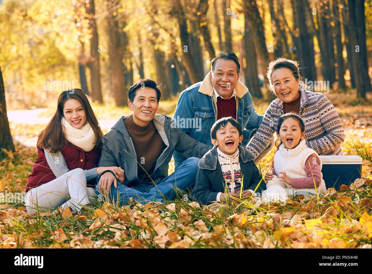 Happy family outdoor outing Stock Photo - Alamy
