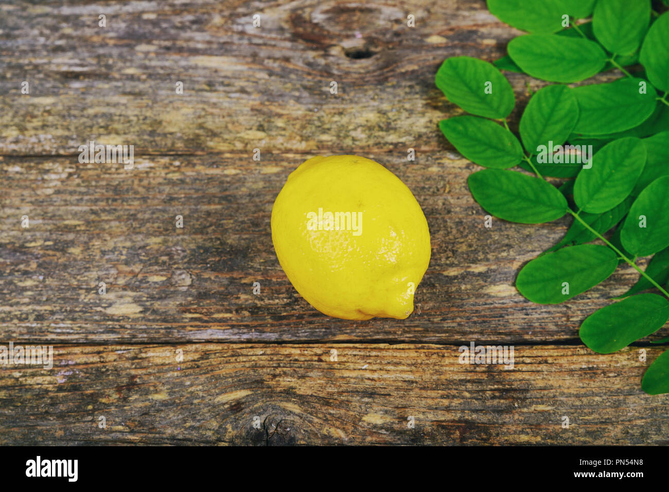 Lulav symbols the Jewish festival of Sukkot Stock Photo - Alamy