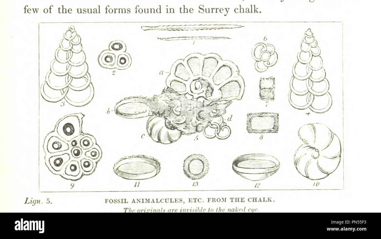 Image from page 89 of '[A Topographical History of Surrey by E. W ...